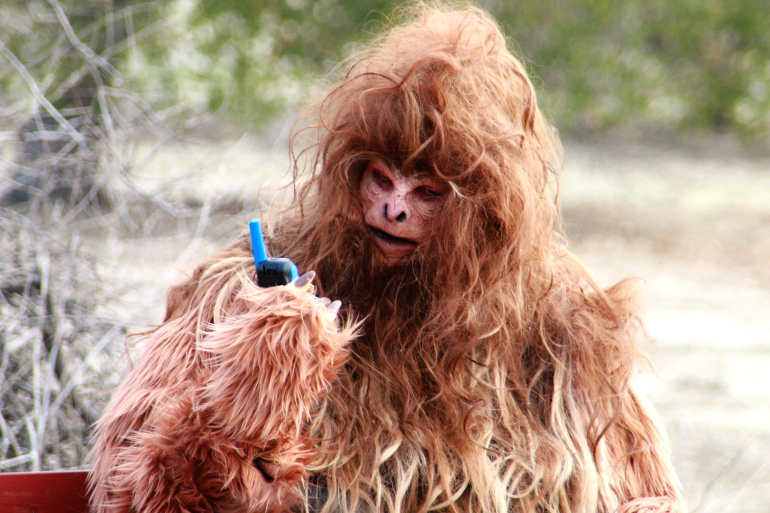 The Real Sasquatch - MRA